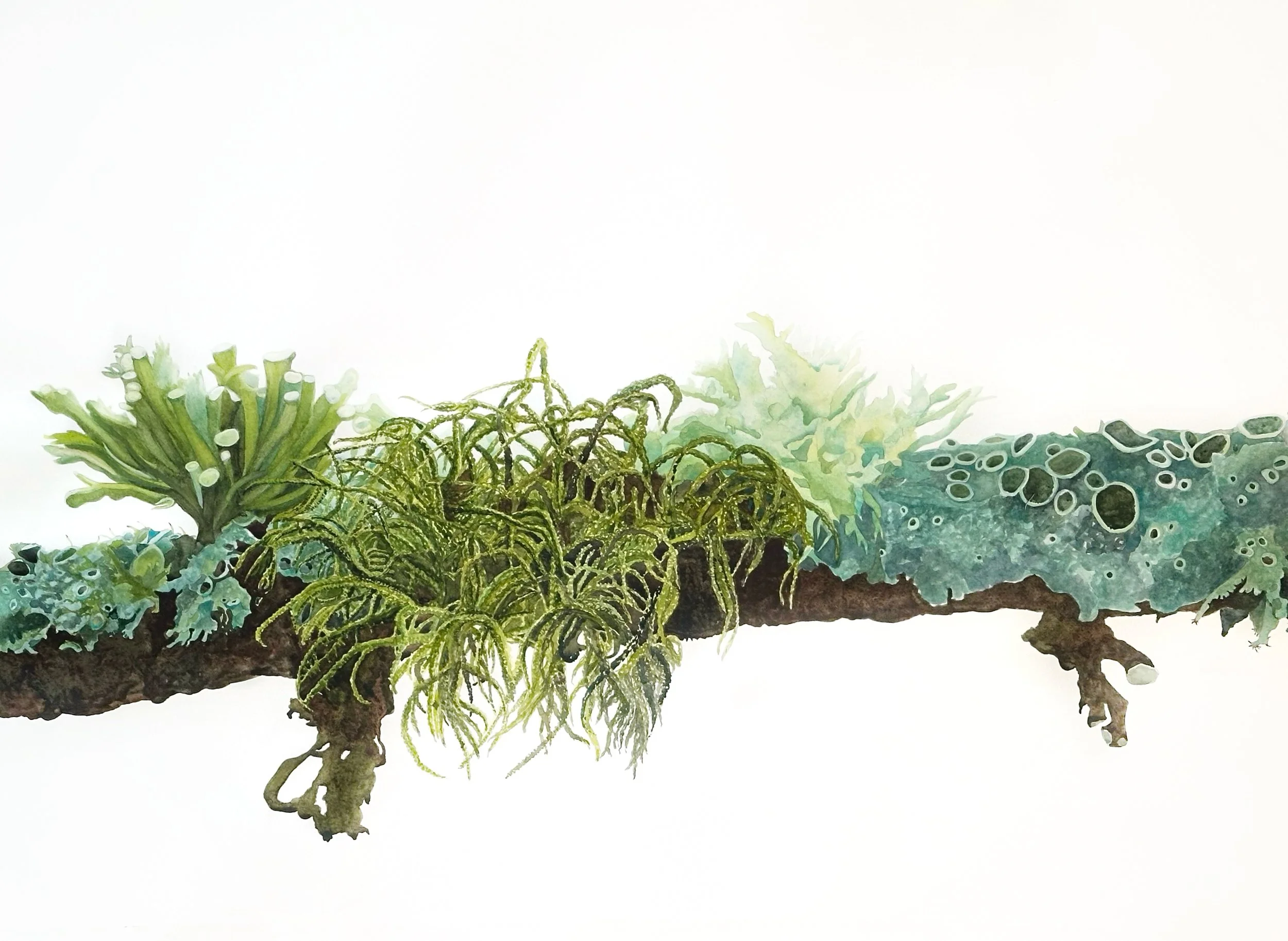 Charlene Collins Freeman Art