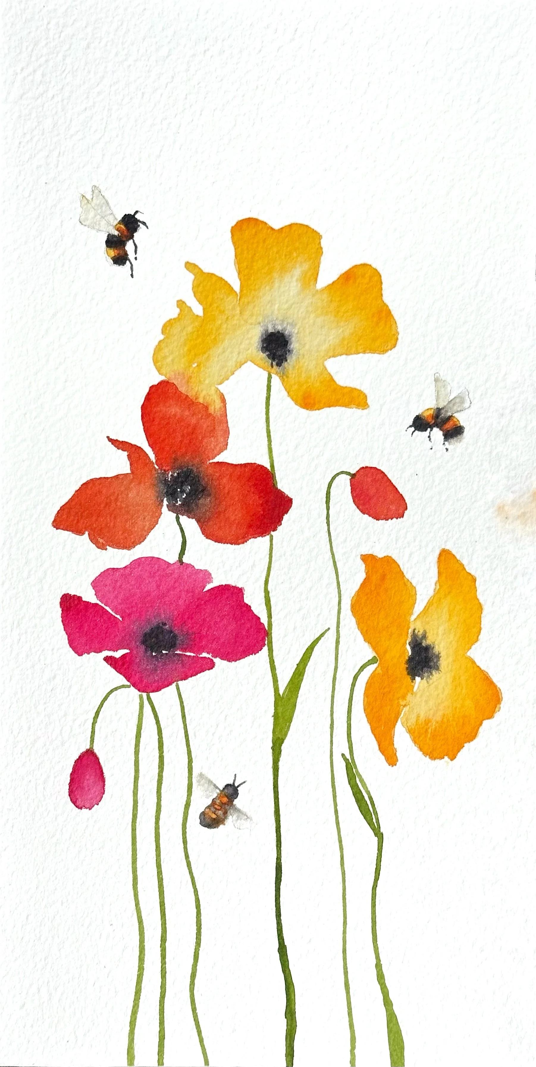 Gallery — Charlene Collins Freeman Art