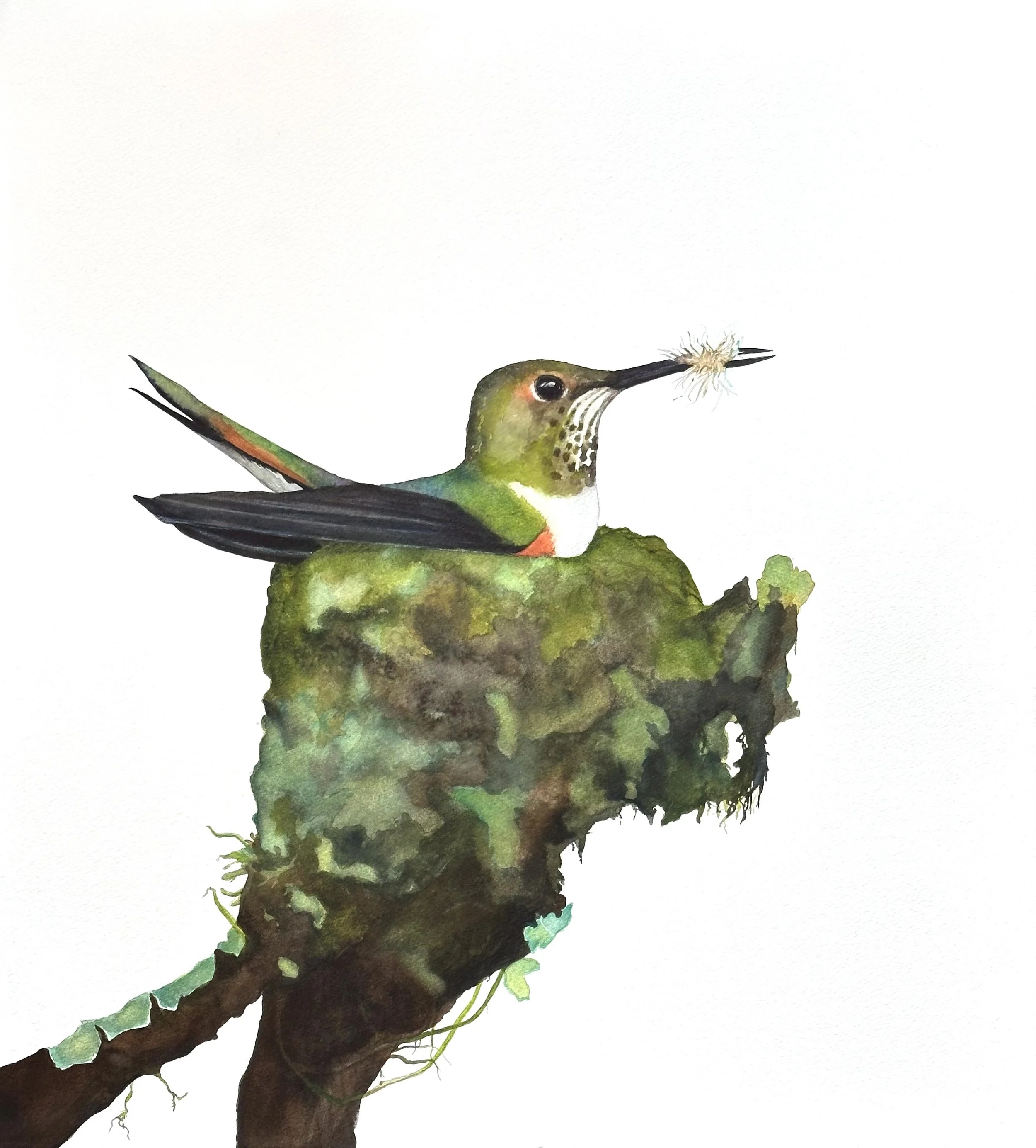 Gallery — Charlene Collins Freeman Art