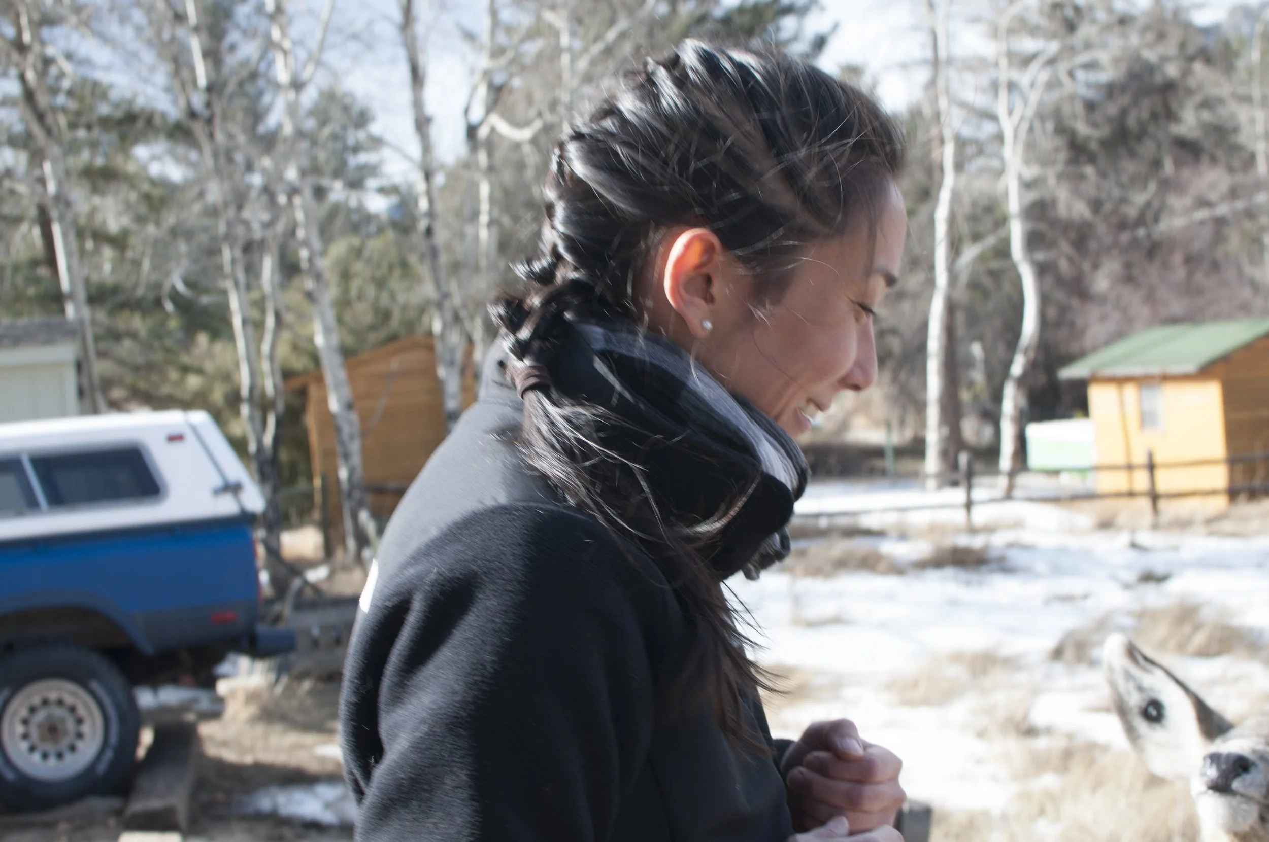 Joy Bergeron Fine Art - About