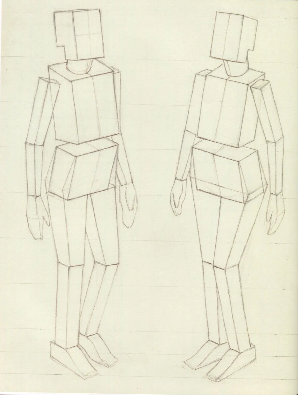 Basic Human Anatomy — Art & Animation
