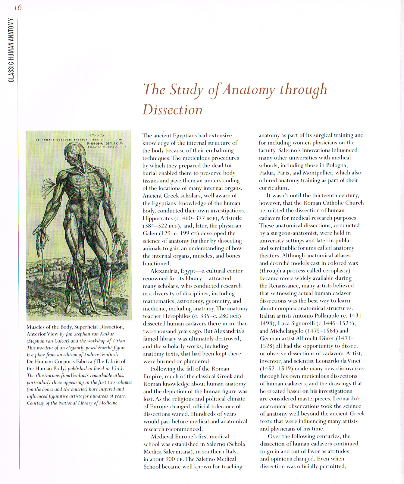 The Art of Classic Human Anatomy pt.1 — Art & Animation
