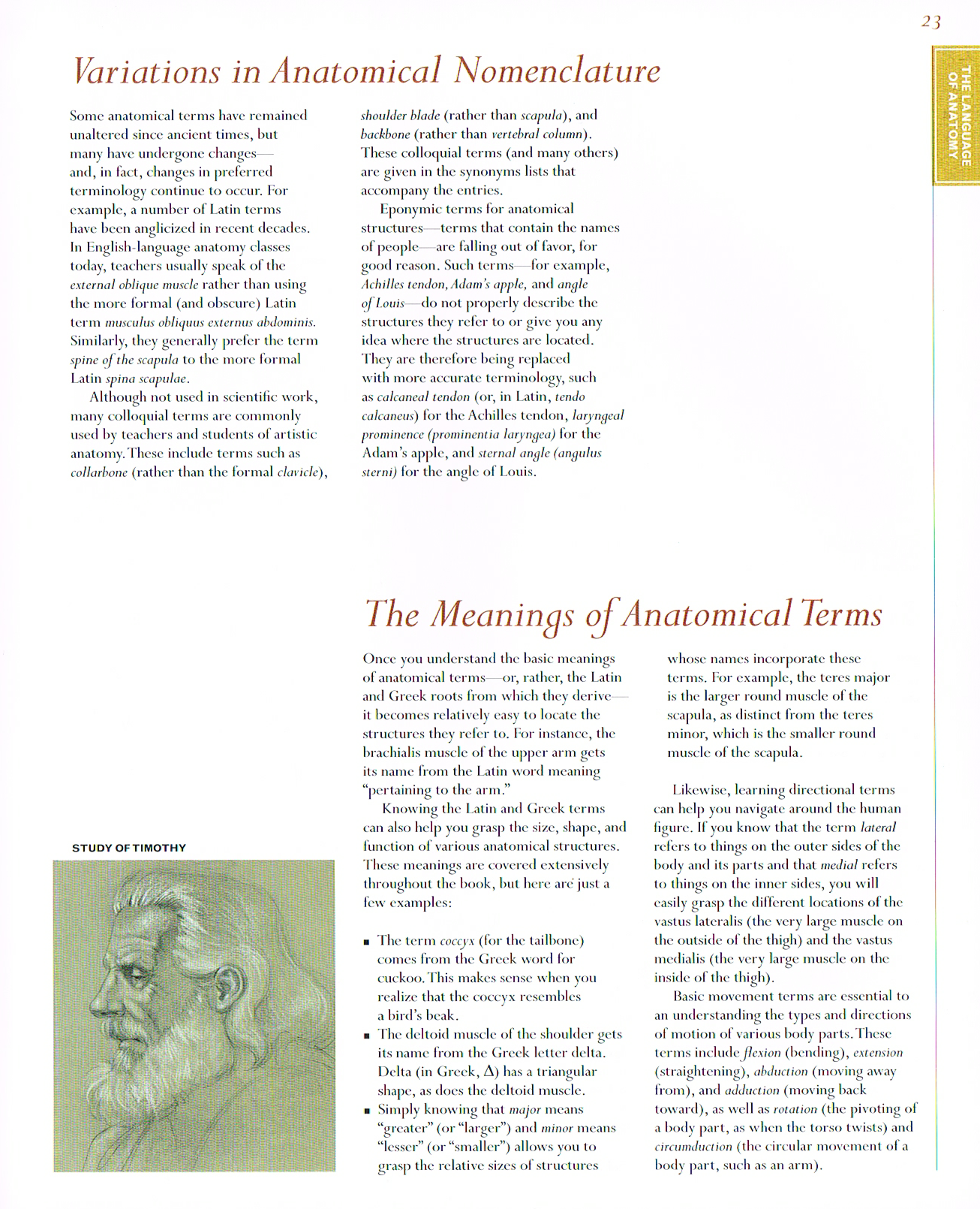 The Art of Classic Human Anatomy pt.2 — Alex Escobar | Art & Animation