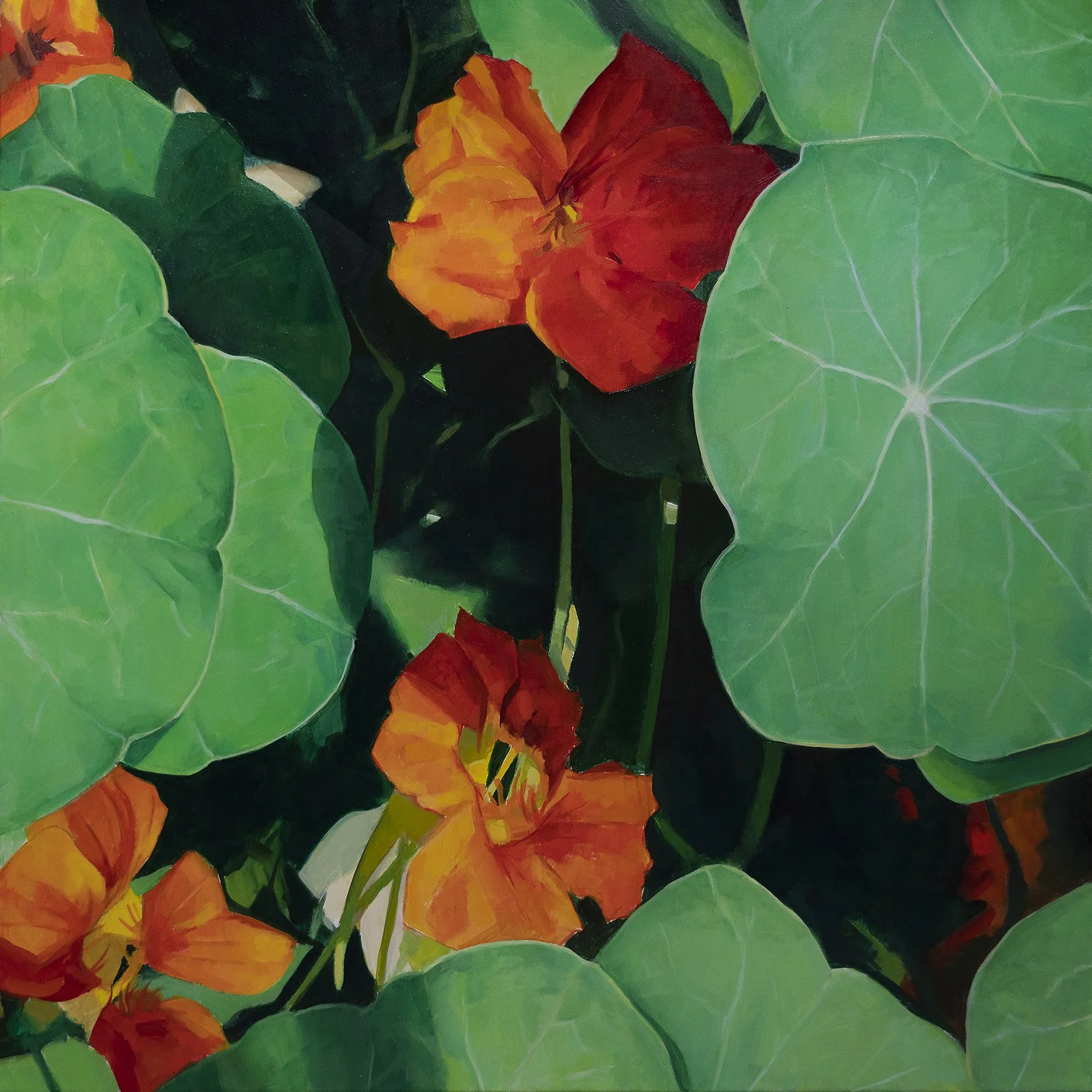 Thomas Wharton Floral Art — THOMAS WHARTON