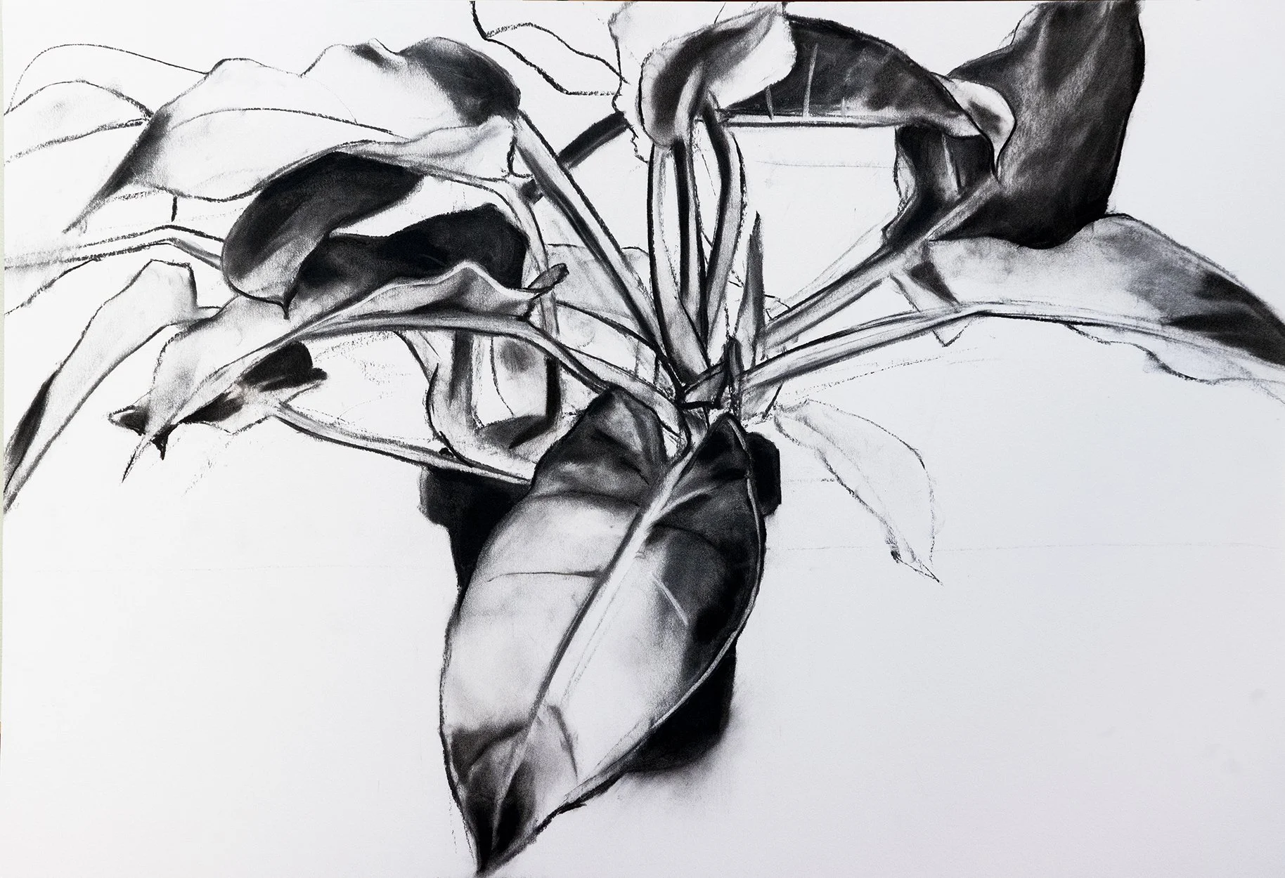 On Paper — THOMAS WHARTON
