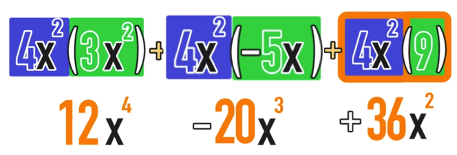 Multiplying Polynomials: The Complete Guide — Mashup Math