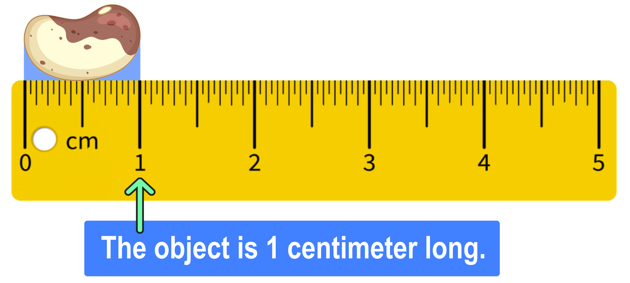 How to Read a Ruler—Step-by-Step with Pictures — Mashup Math