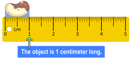 How to Read a Ruler—Step-by-Step with Pictures — Mashup Math
