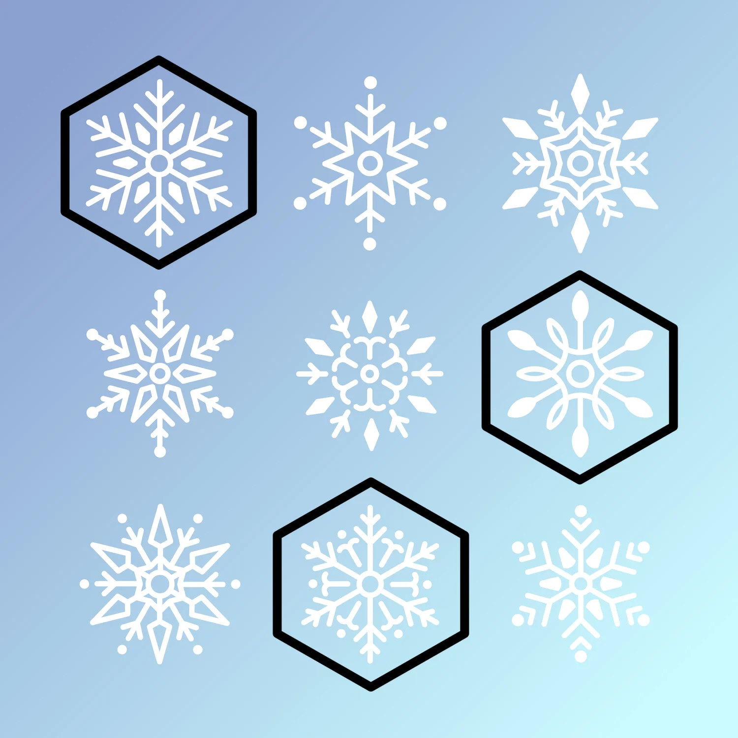 Hexagons Explained! The Complete Guide to Hexagons — Mashup Math