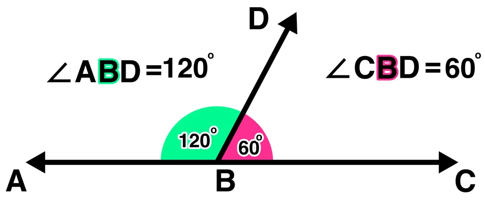 How to Use a Protractor: Your Complete Guide — Mashup Math