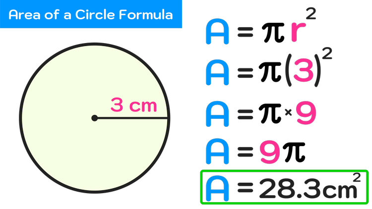 How to Find the Area of a Circle in 3 Easy Steps — Mashup Math