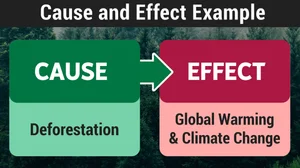 5 Cause and Effect Examples and Explanations — Mashup Math