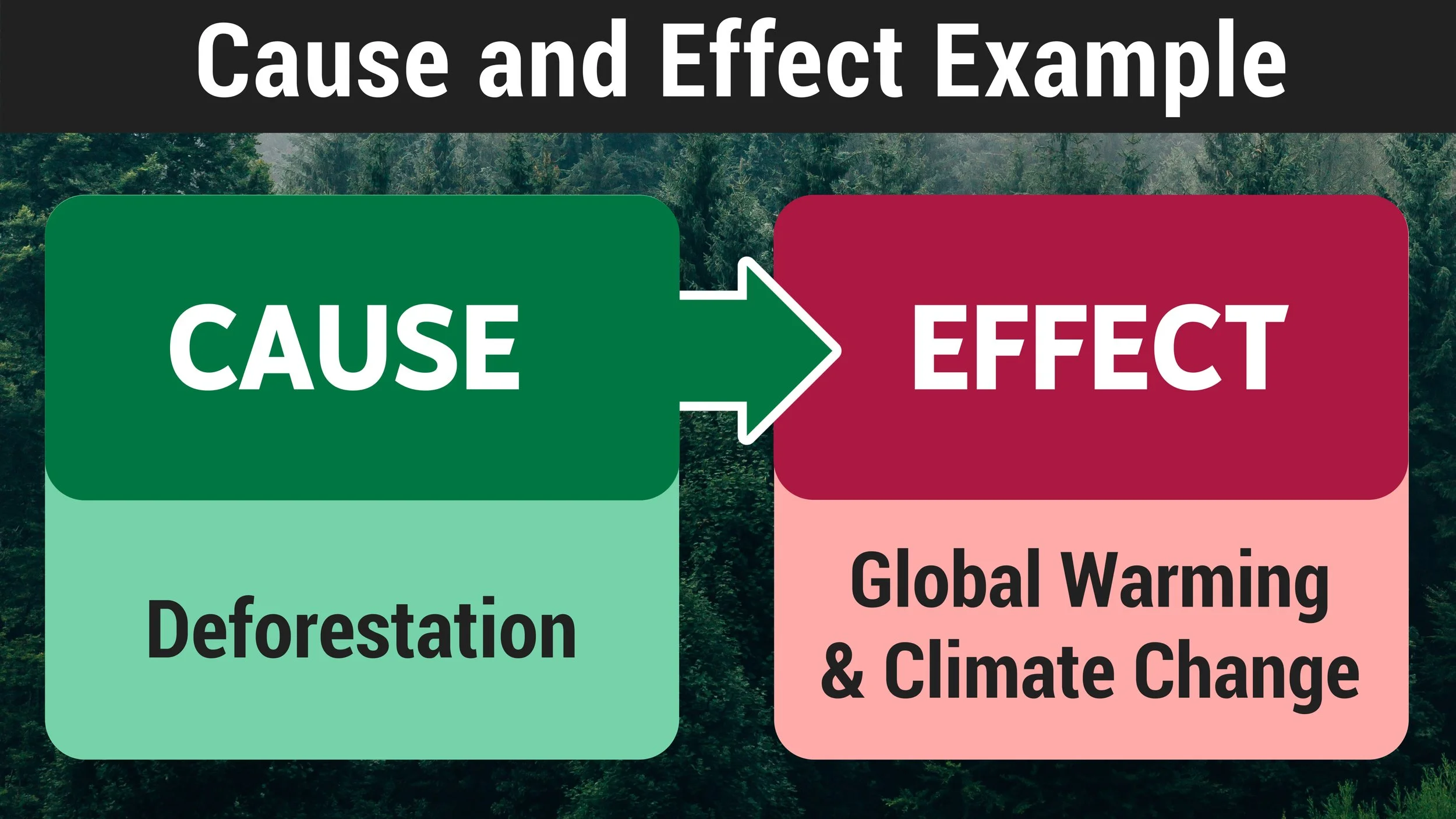 5 Cause And Effect Examples And Explanations Mashup Math