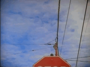 Hard Math Problems for 6th Graders: Pumpkins and Watermelons — Mashup Math