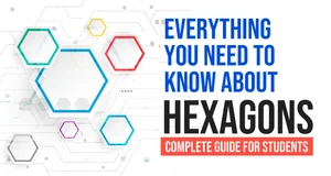 Hexagons Explained! The Complete Guide to Hexagons — Mashup Math