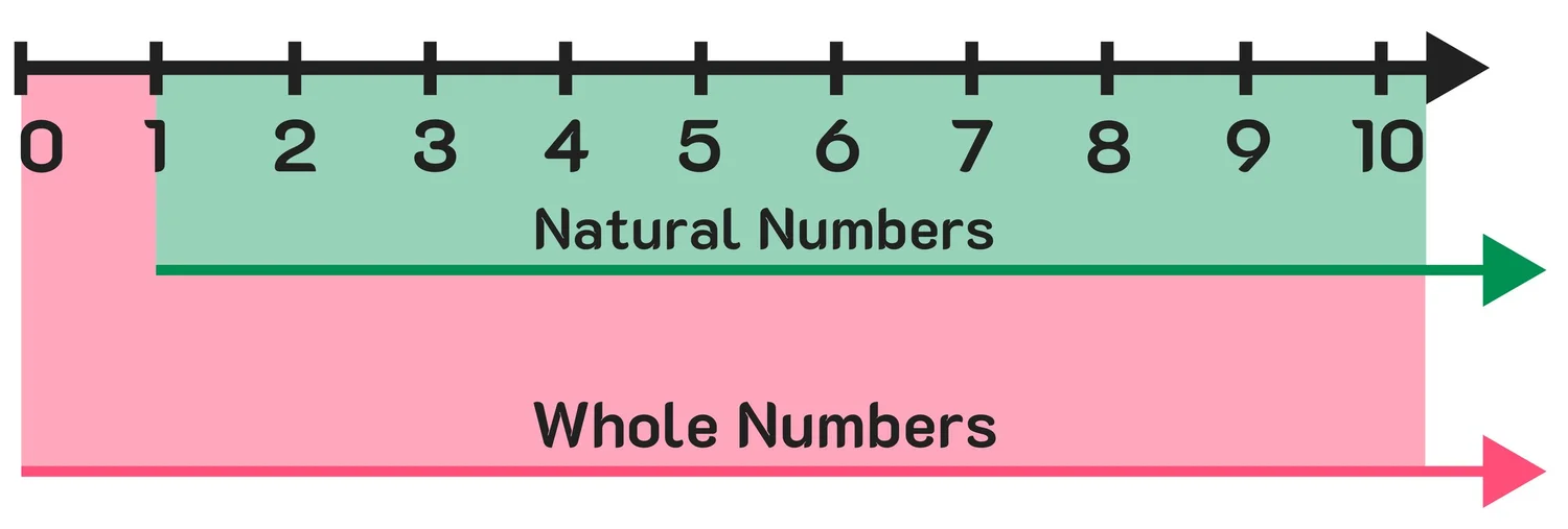 What is a Whole Number in Math? — Mashup Math