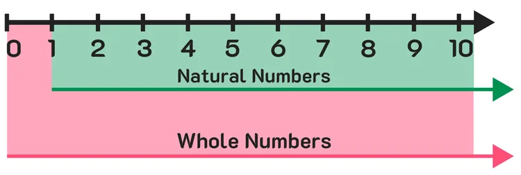 What is a Whole Number in Math? — Mashup Math