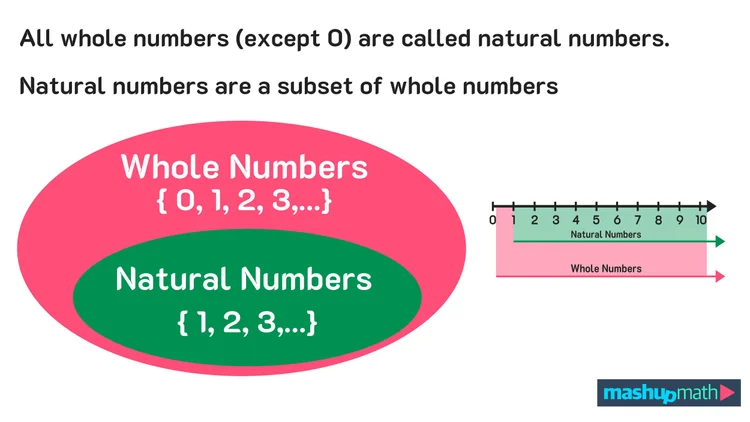 What is a Whole Number in Math? — Mashup Math
