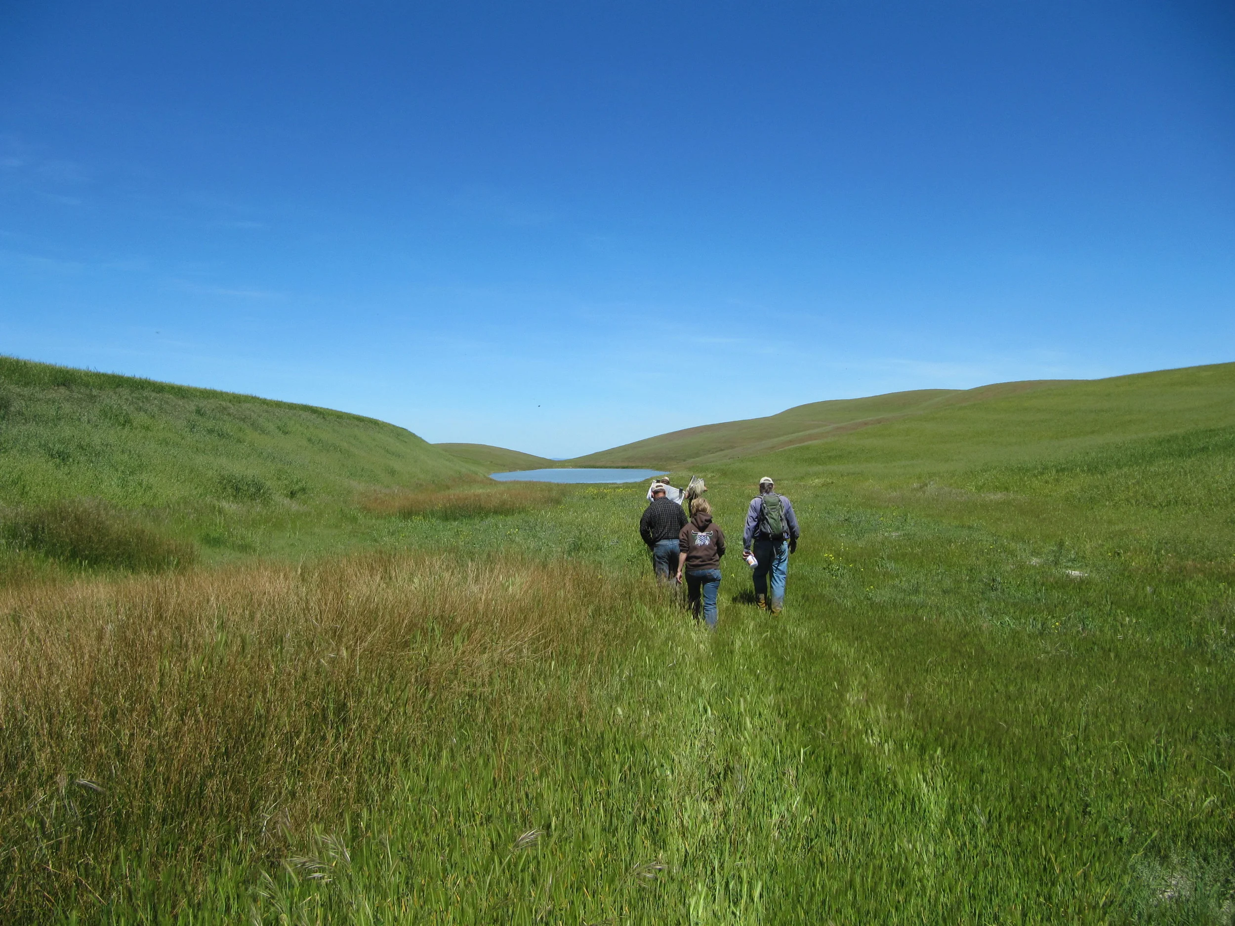 Palo Prieto Conservation Bank