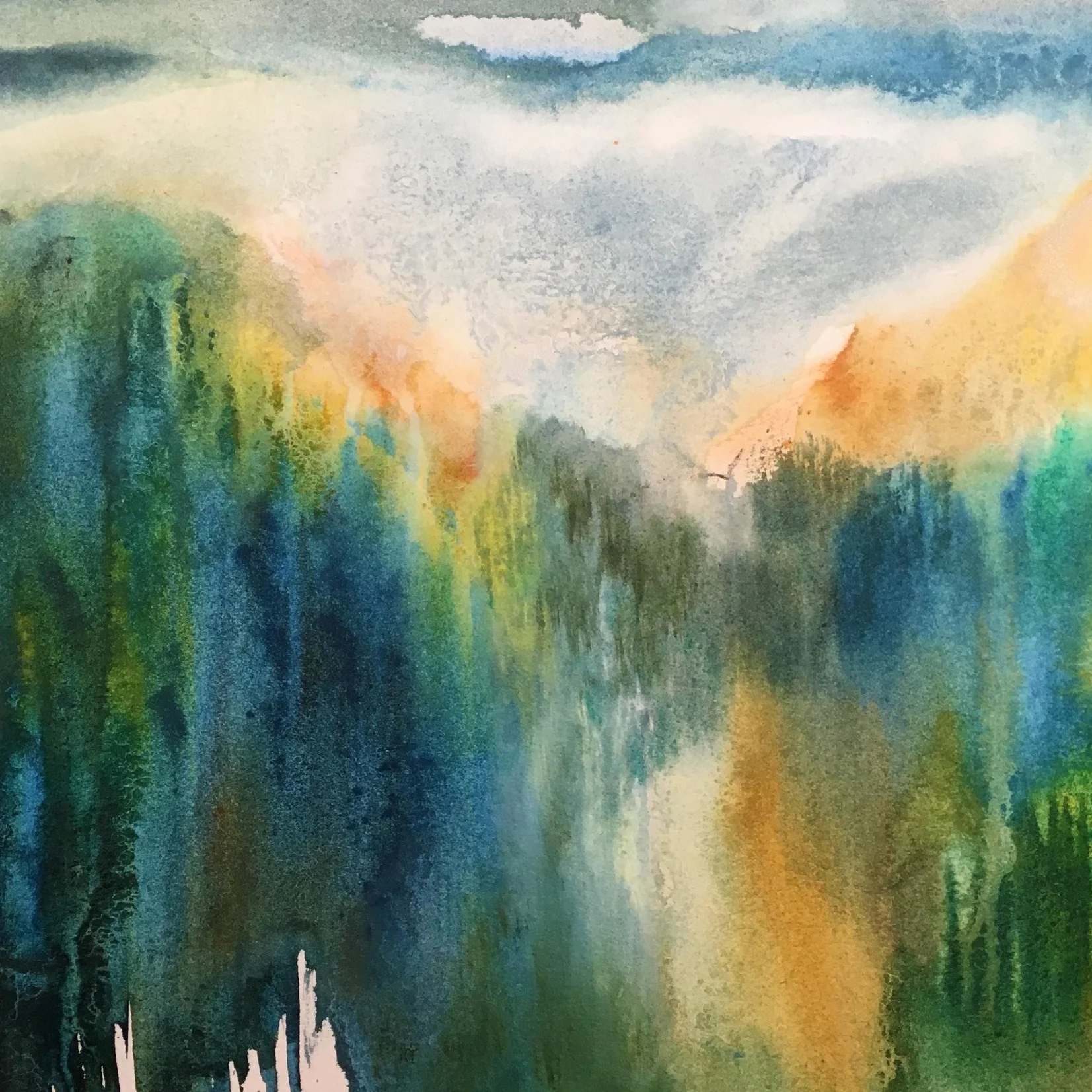 Sarah Knox Gallery