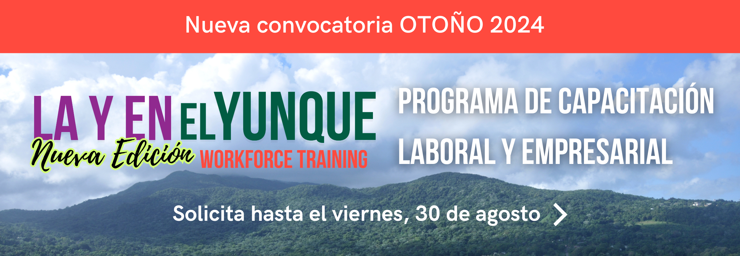 Convocatorias abiertas — Vitrina Solidaria