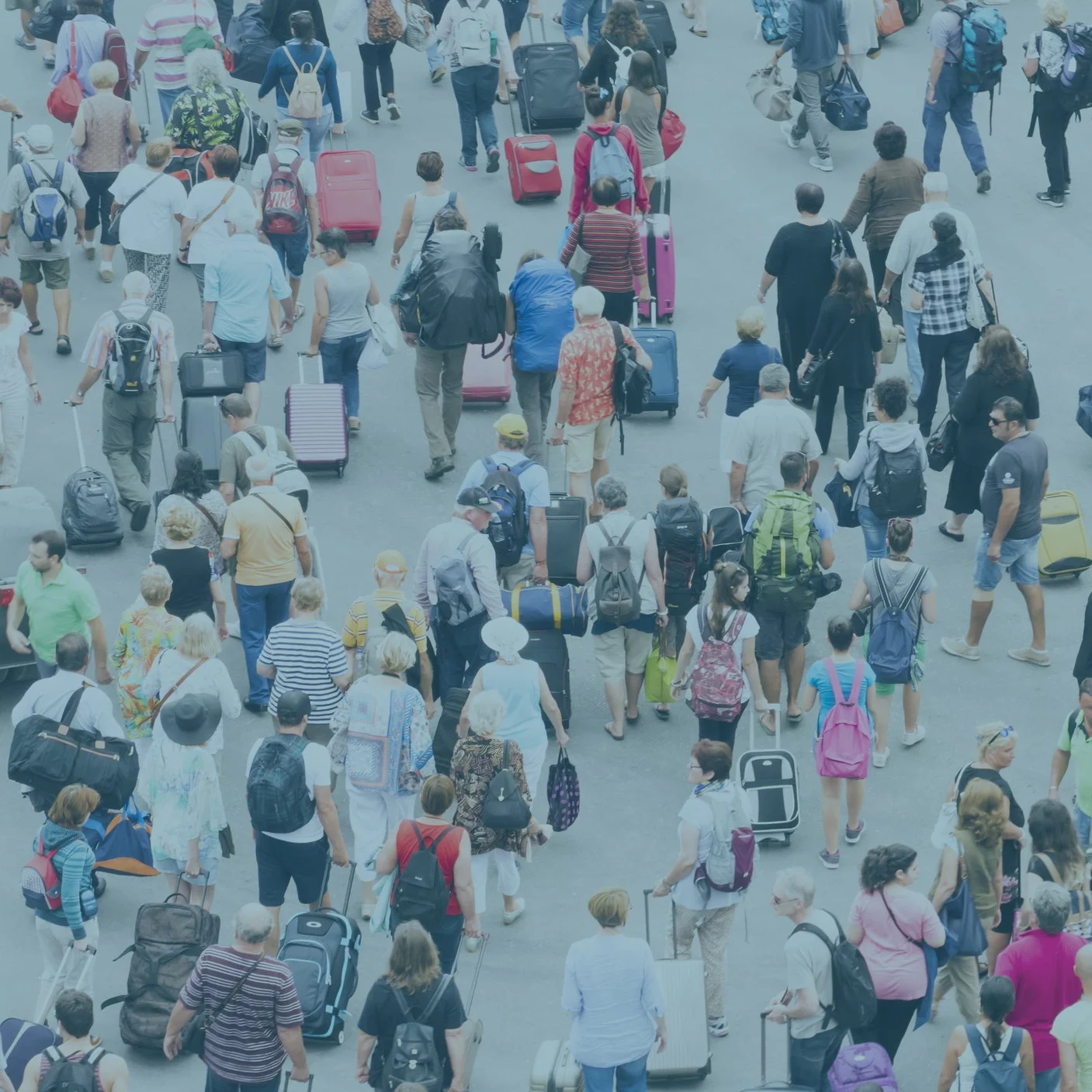 Online — ALISON BRICKER