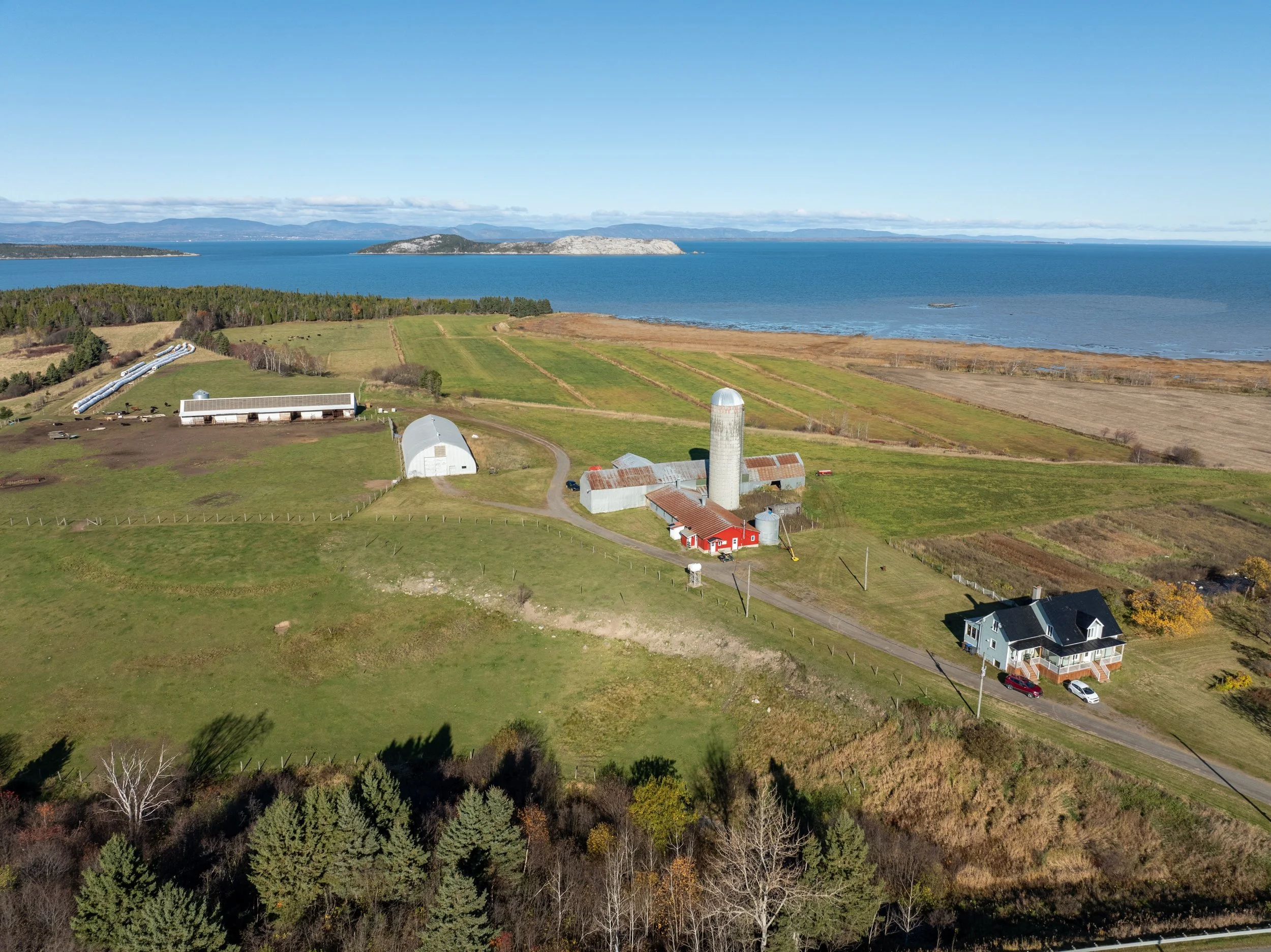 David Fafard, votre partenaire en immobilier agricole