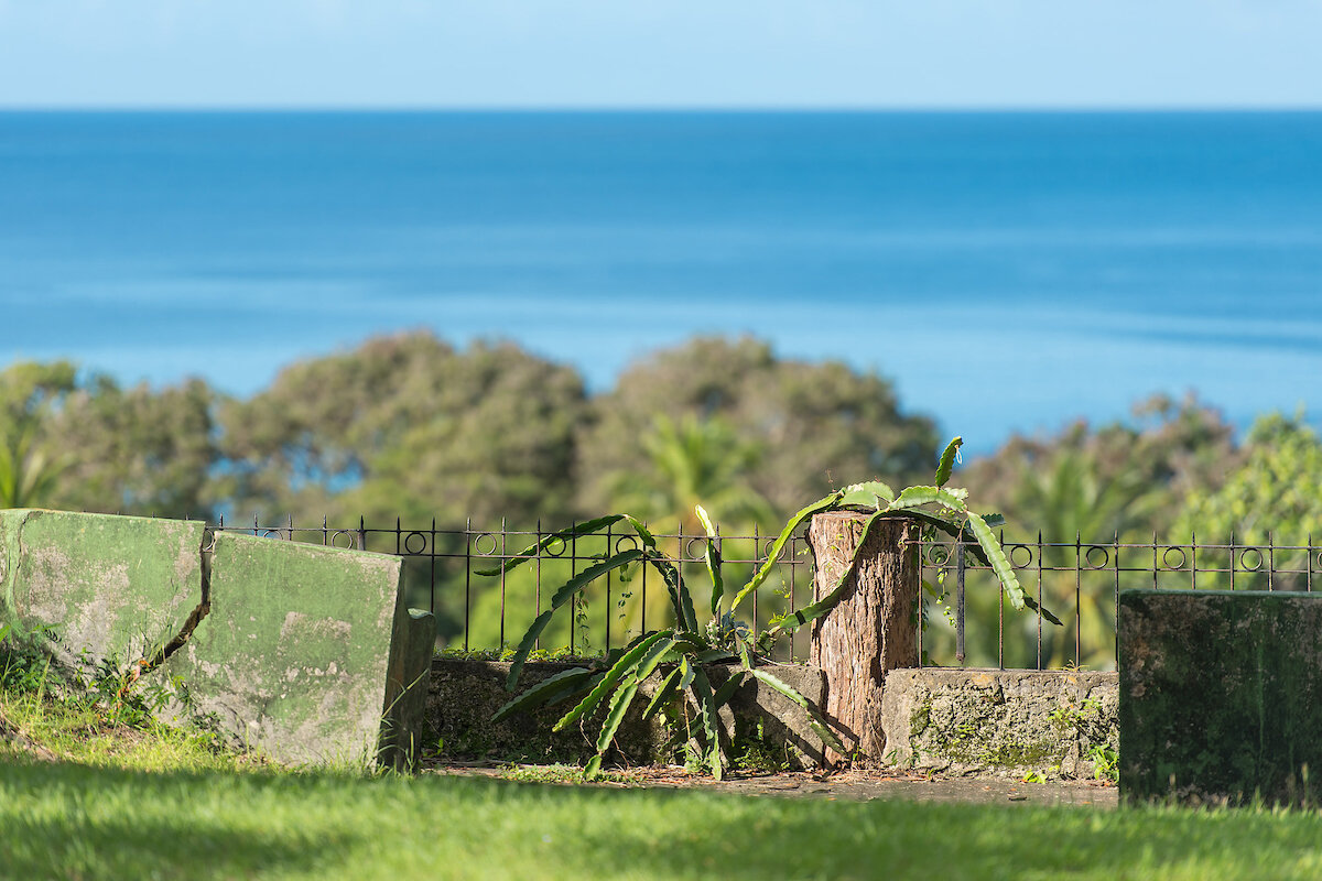 Grounds — Colleton Great House, Barbados