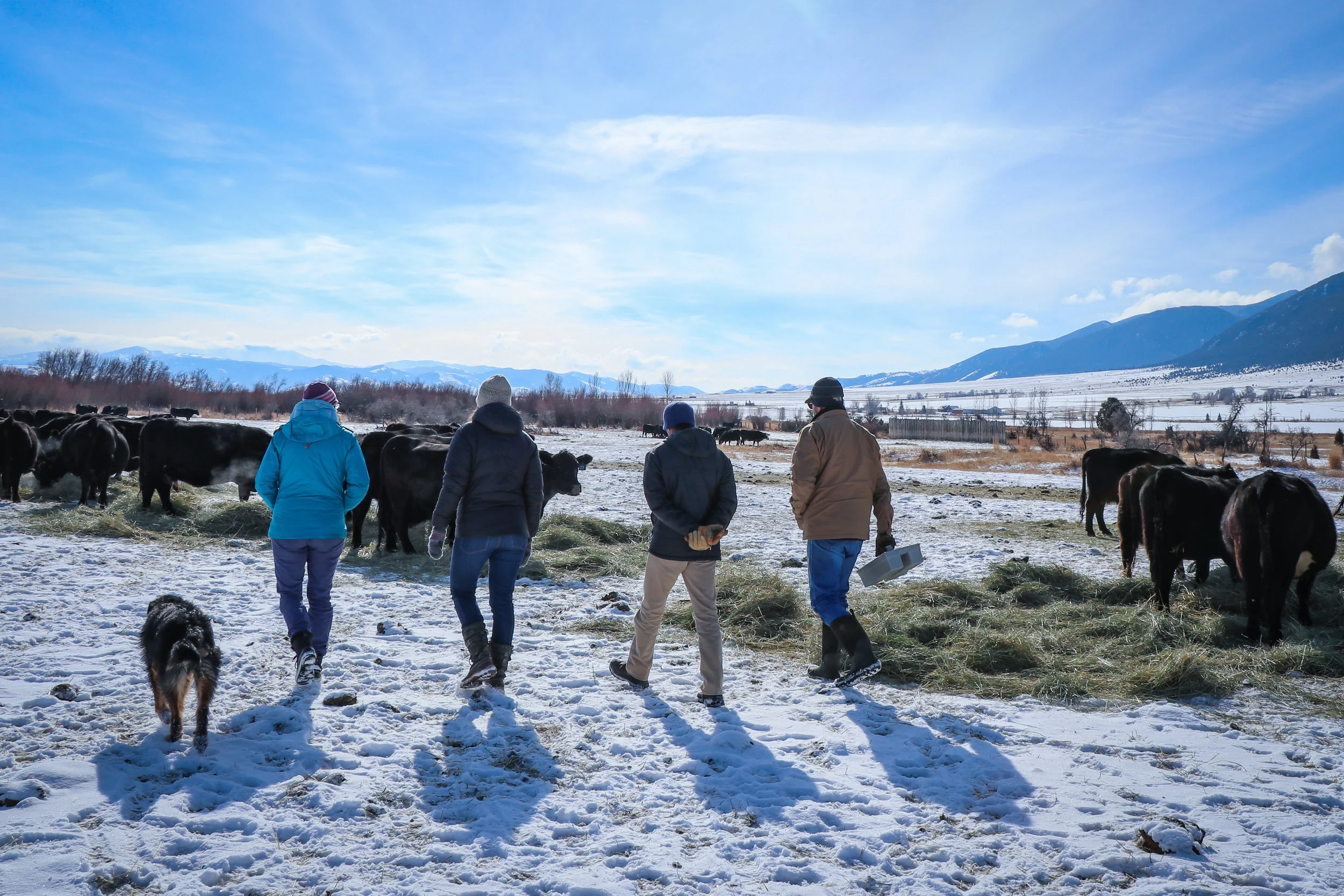 Ruby Valley Stories: Silver Springs Ranch — Greater Yellowstone Coalition