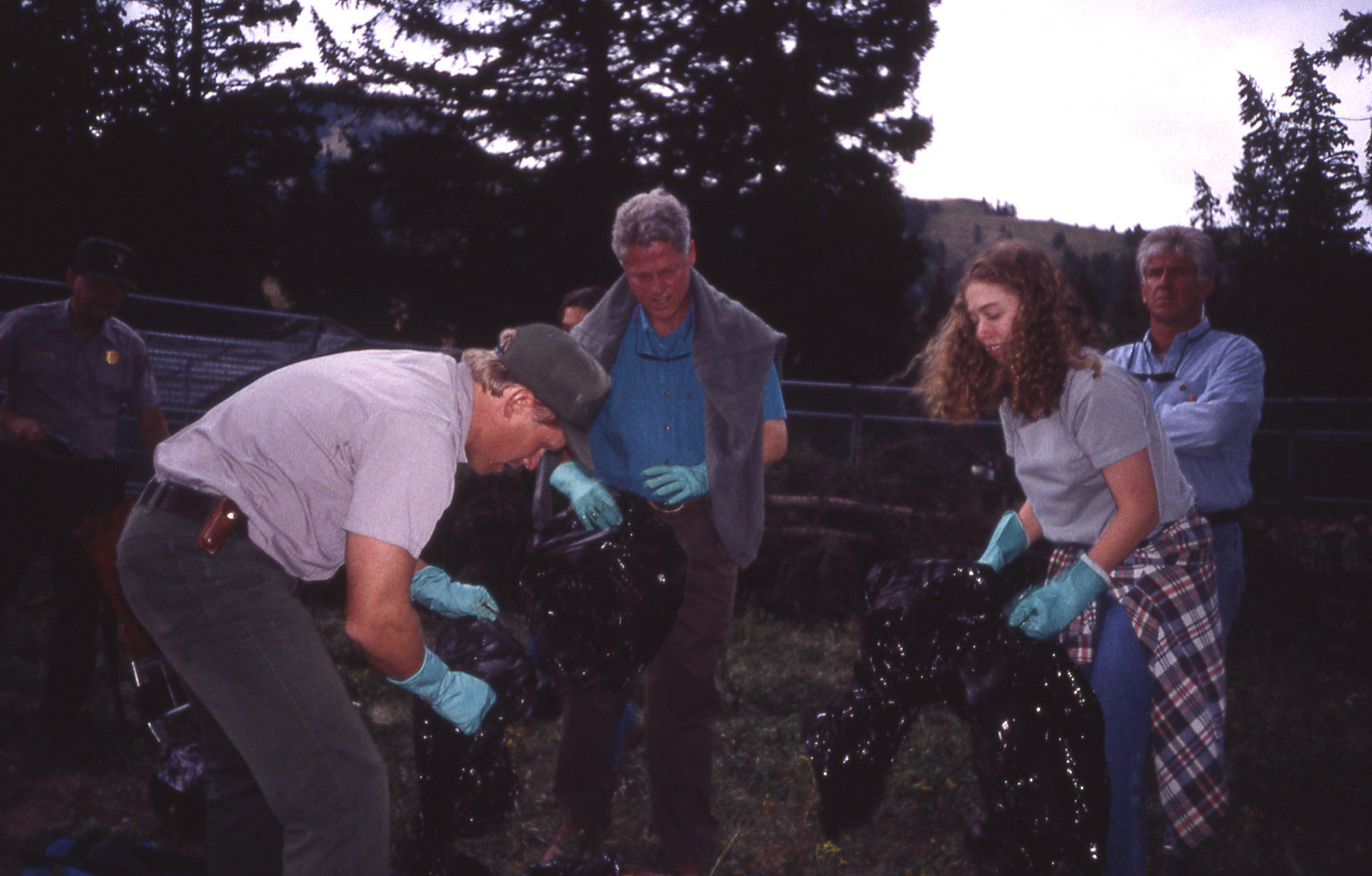 Reflecting on 25 years of wolves in Yellowstone National Park — Greater ...