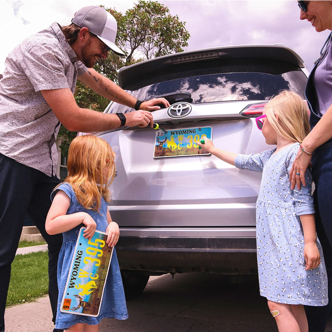 It’s no accident Wyoming citizens show support for wildlife crossings ...