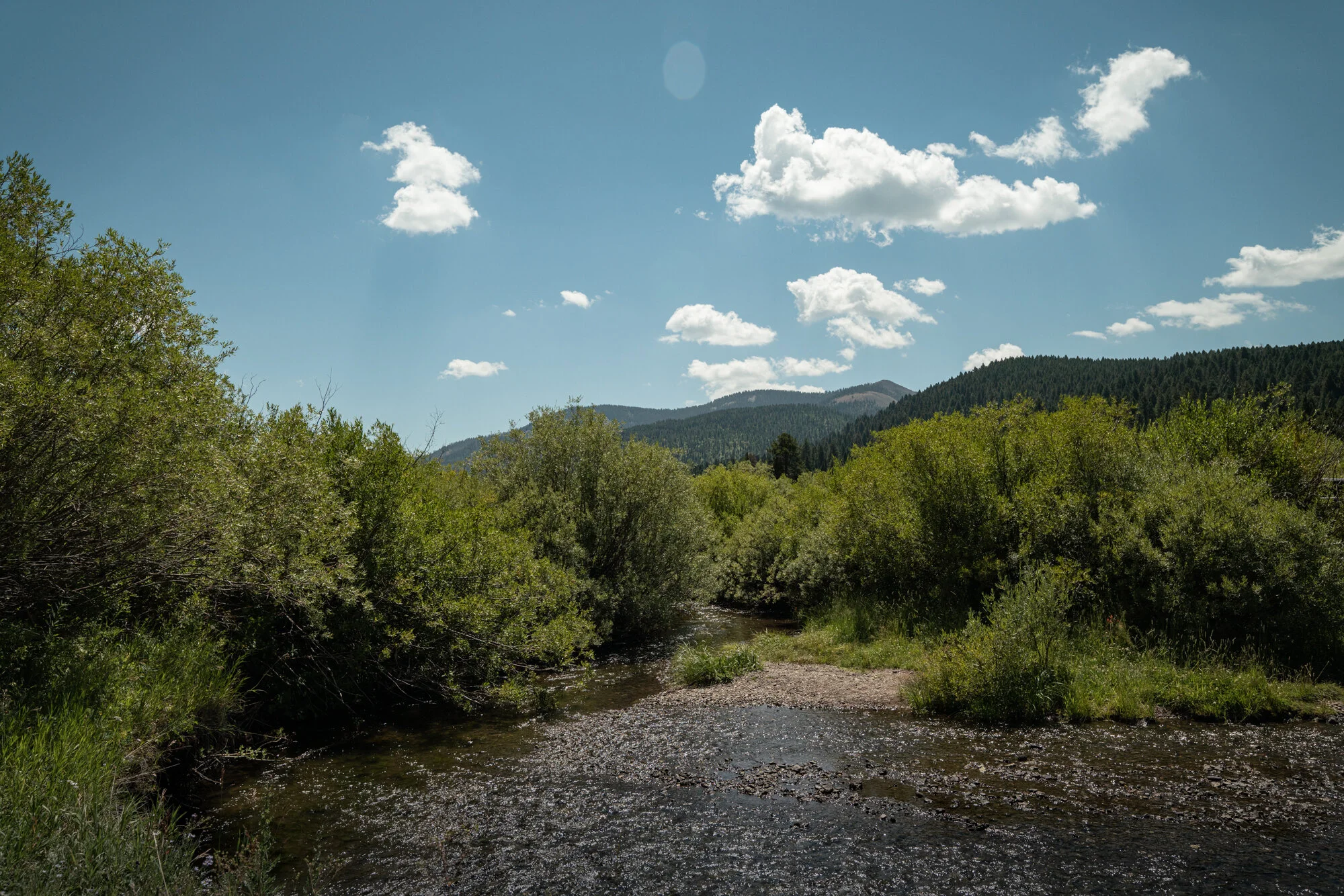 GYC gathers over 3,000 comments against the Kilgore Gold Exploration ...