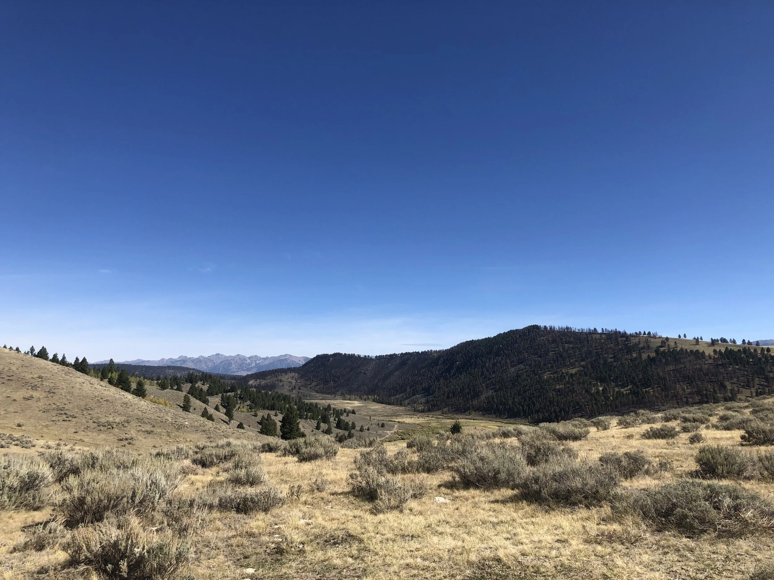 Range riding in Montana's wild Centennial Valley — Greater Yellowstone ...