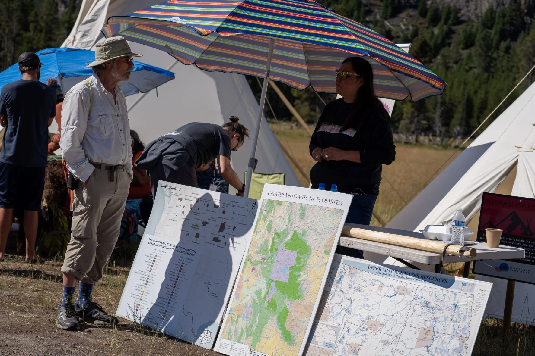 Yellowstone Revealed: Land rematriation through buffalo restoration ...