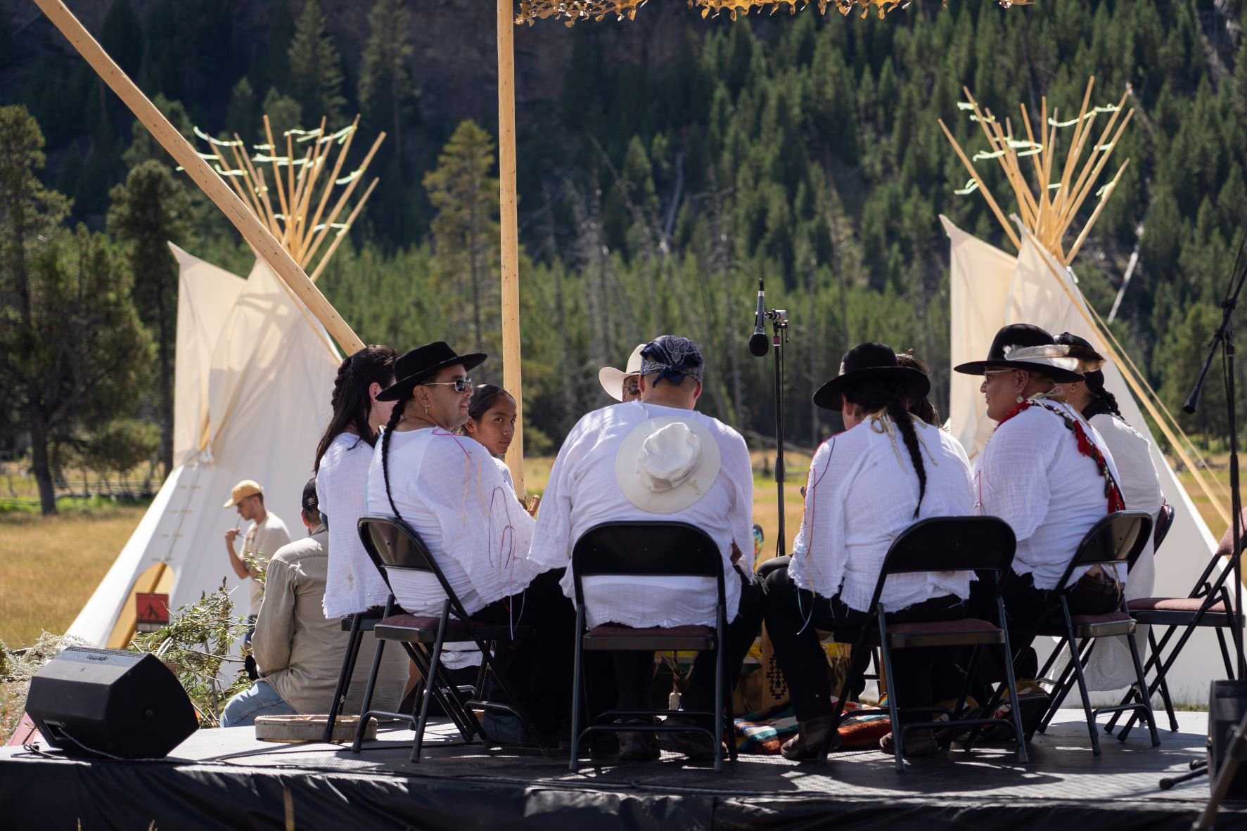 Yellowstone Revealed: Land rematriation through buffalo restoration ...