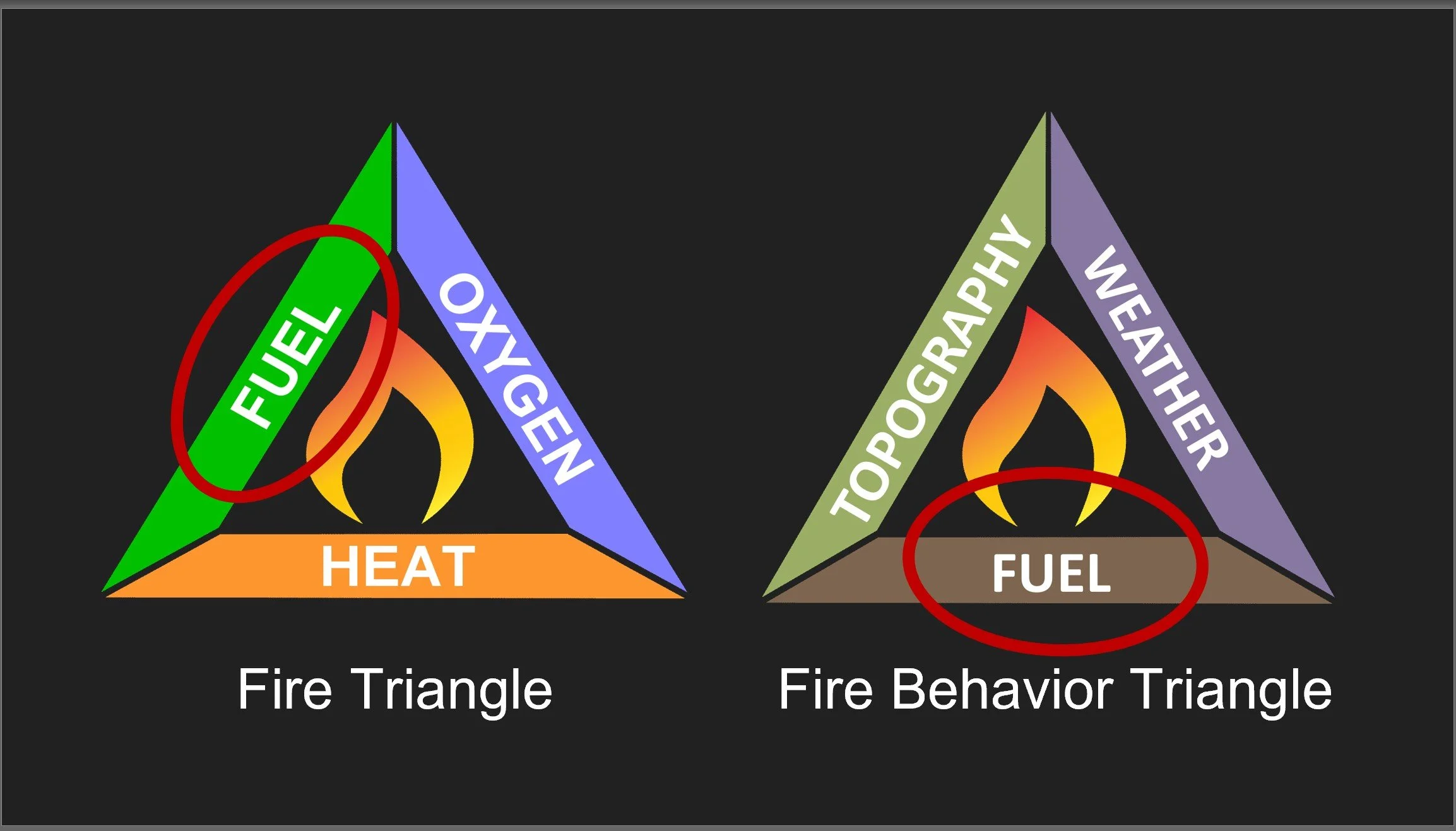 Are you Firewise? Probably more than you think! — Minnesota Women's ...