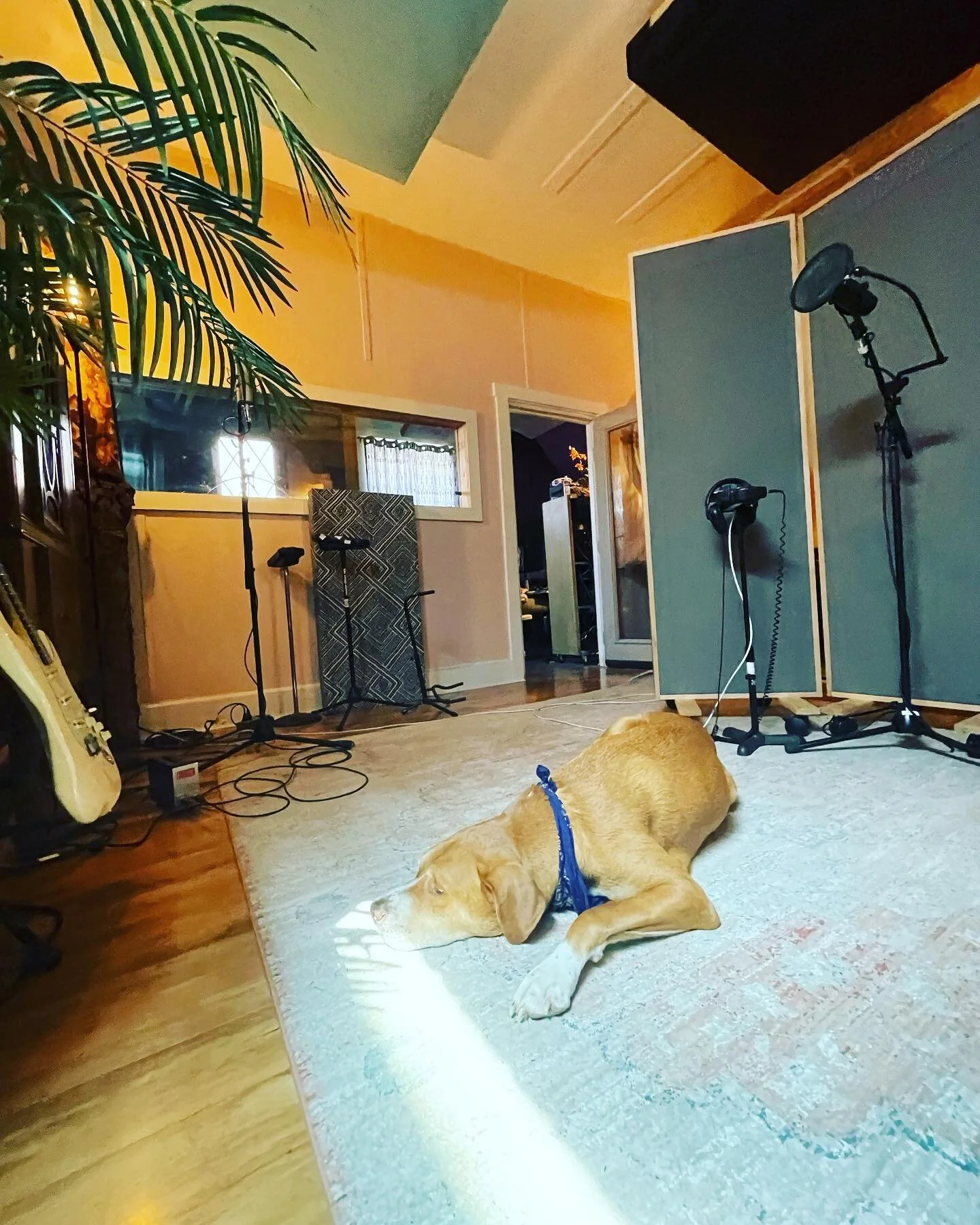 Future Fields Studios - Recording in Burlington, Vermont.