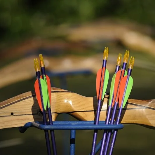 Scouting Programs — PIONEER FARMS