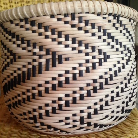 Scouting Programs — PIONEER FARMS