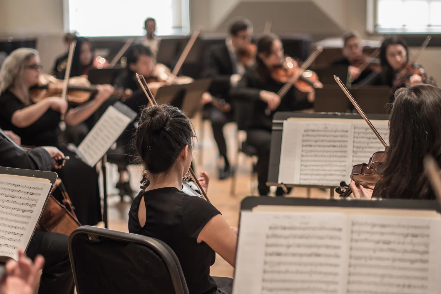 About the Orchestra: The Concertmaster — Oistrakh Symphony of Chicago