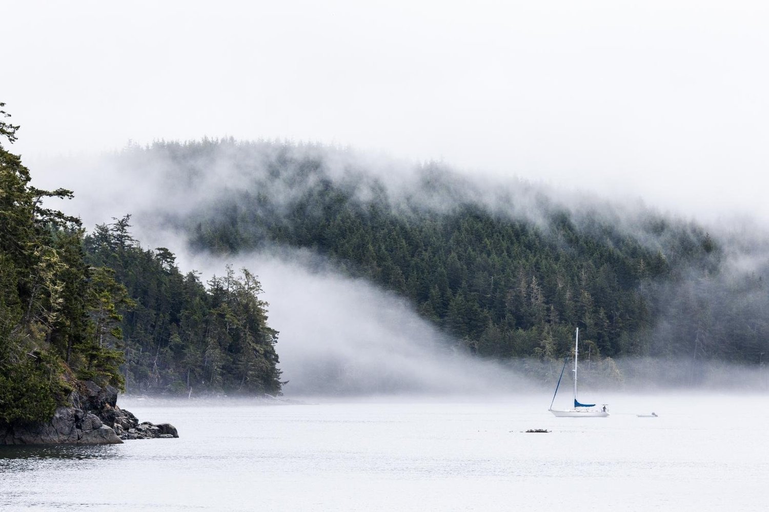 About — Dominic Hall