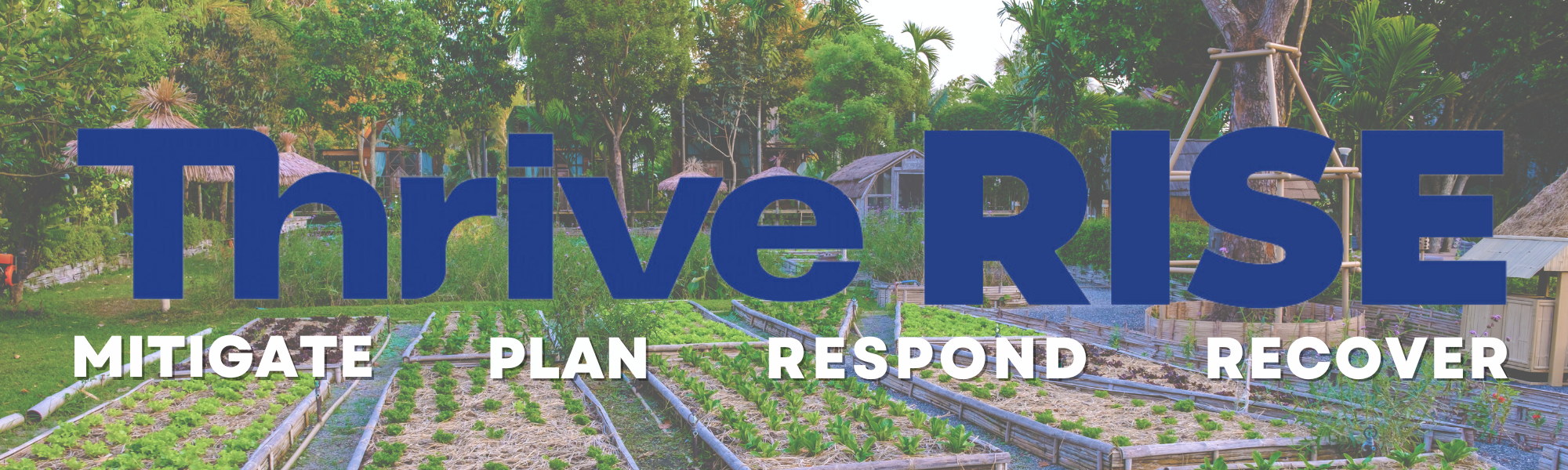 Thrive RISE - COAD — Thrive, The Alliance of Nonprofits for San Mateo County