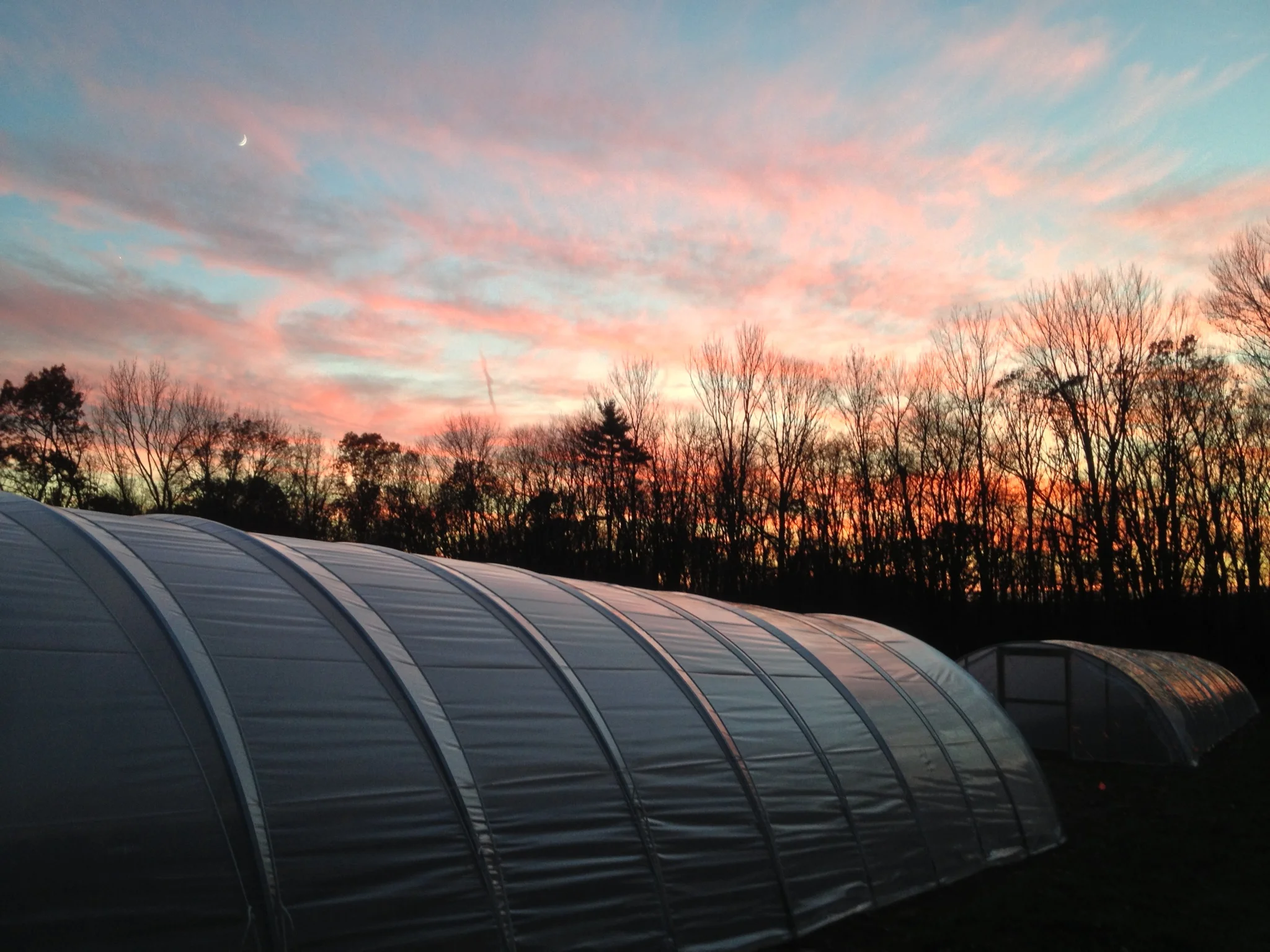 Our Story — FIVEFORK FARMS