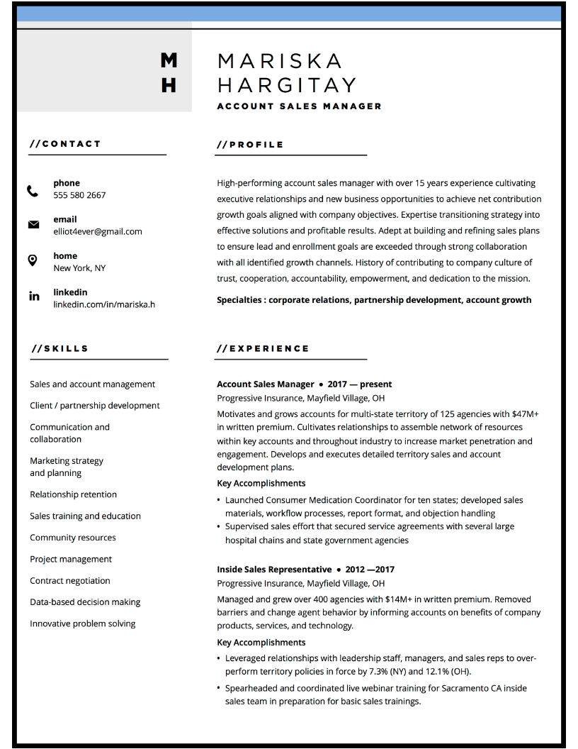 Professional Resume Writing Services & Resume Design | Resume by Nico