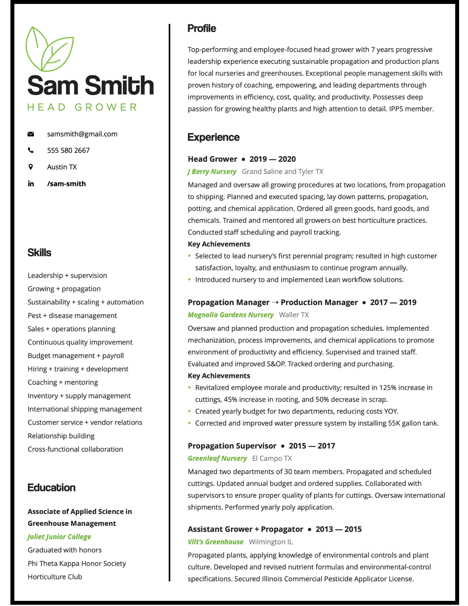 Professional Resume Writing Services & Resume Design | Resume by Nico