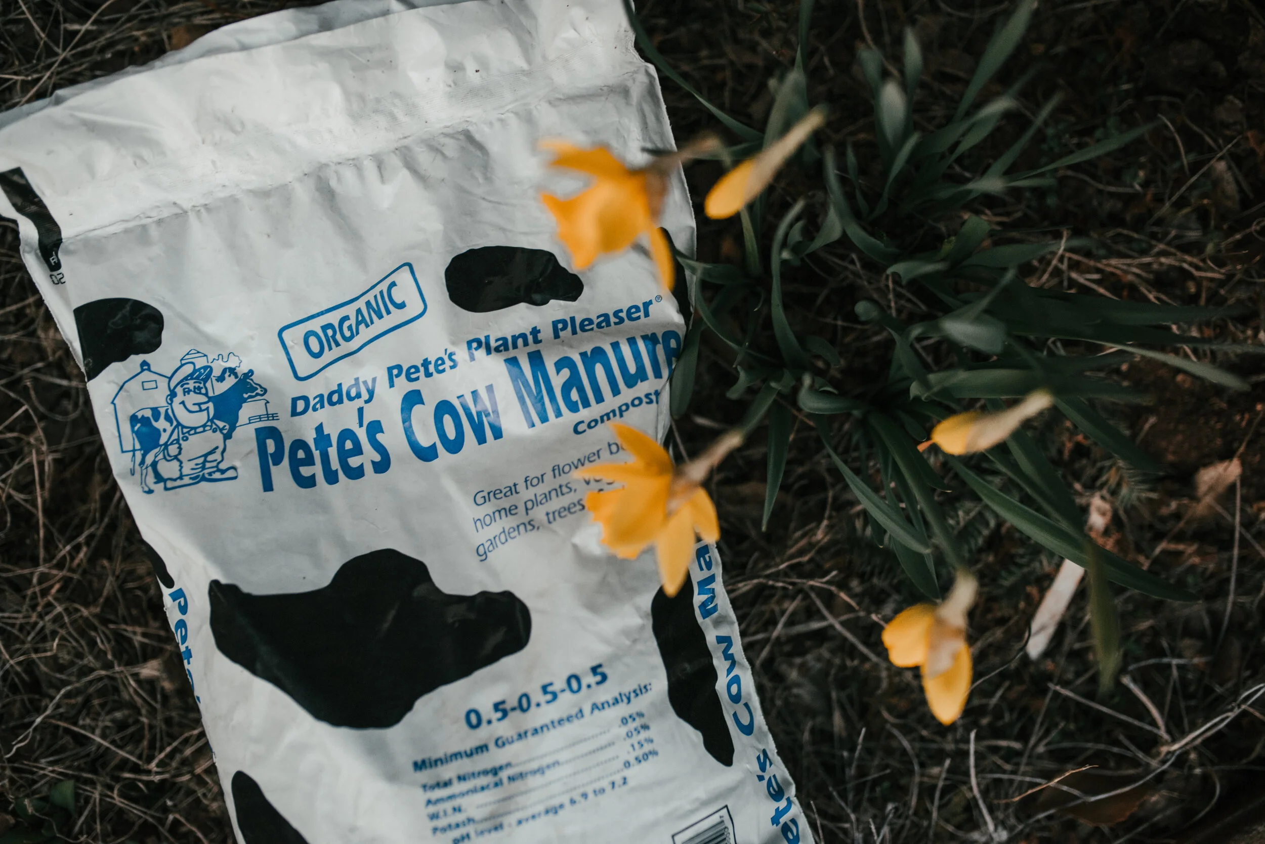 Daddy Pete's Cow Manure — Daddy Pete's Plant Pleaser