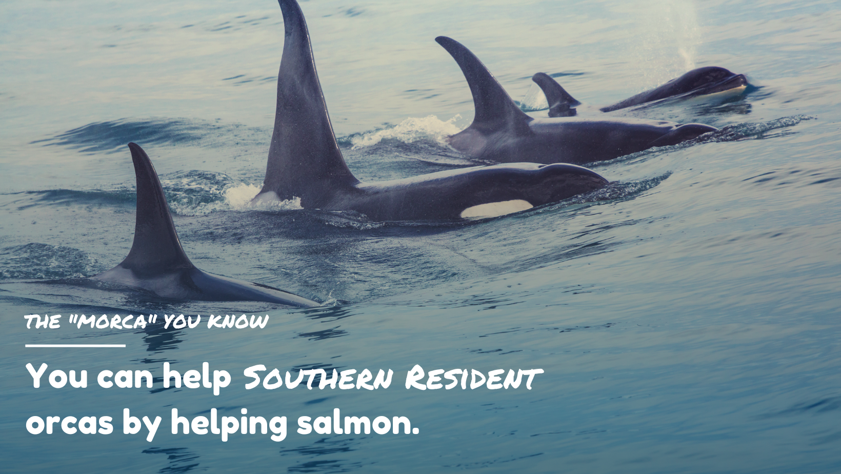 Southern Quotes Facebook Covers