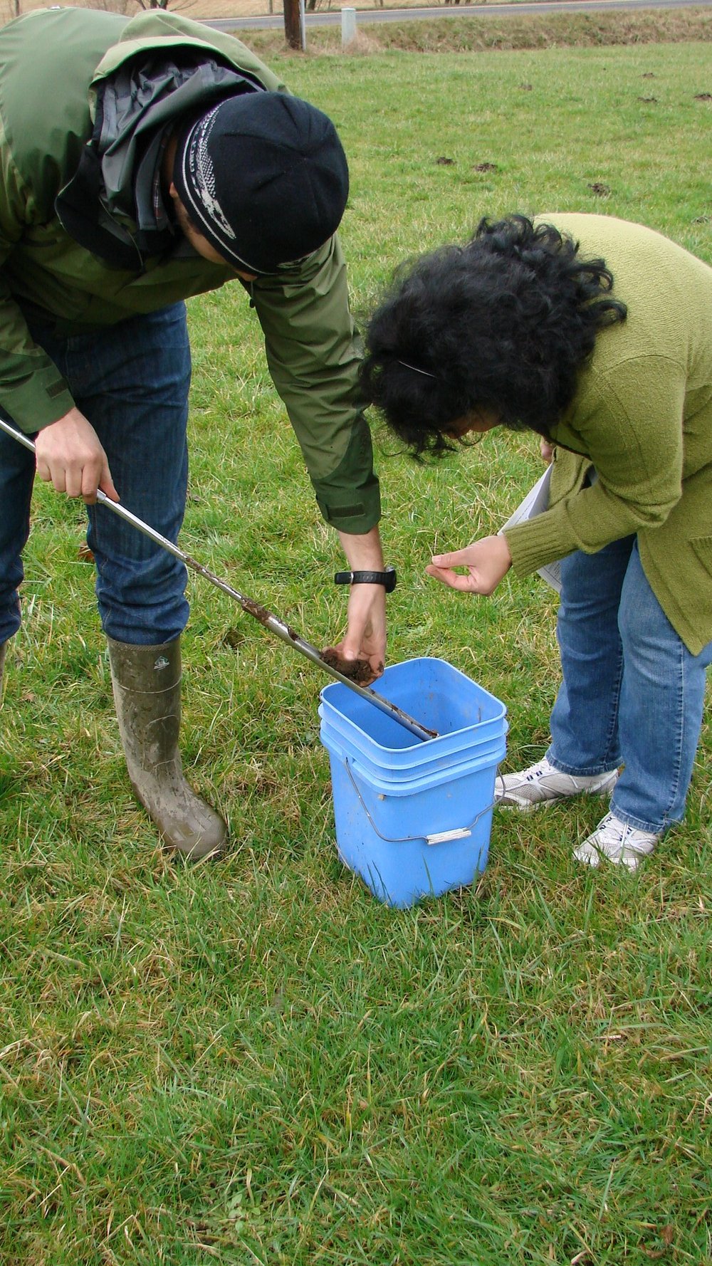 The Grass is Growing: T-Sum 200 has been reached — Snohomish ...