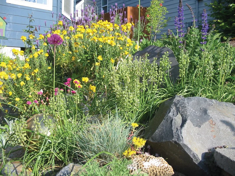 GoodBye Lawn - Hello Veggies, Eco-yards and Pollinators — Snohomish ...