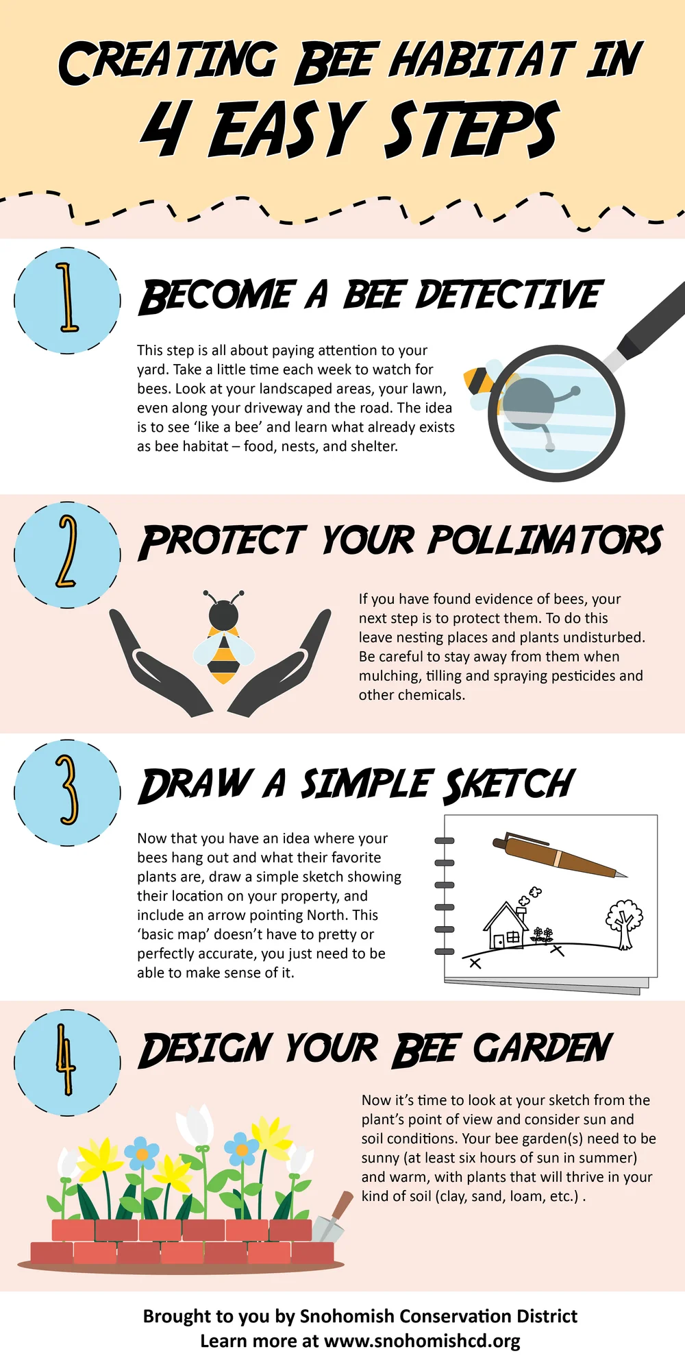 Creating Bee Habitat in Four Easy Steps — Snohomish Conservation District